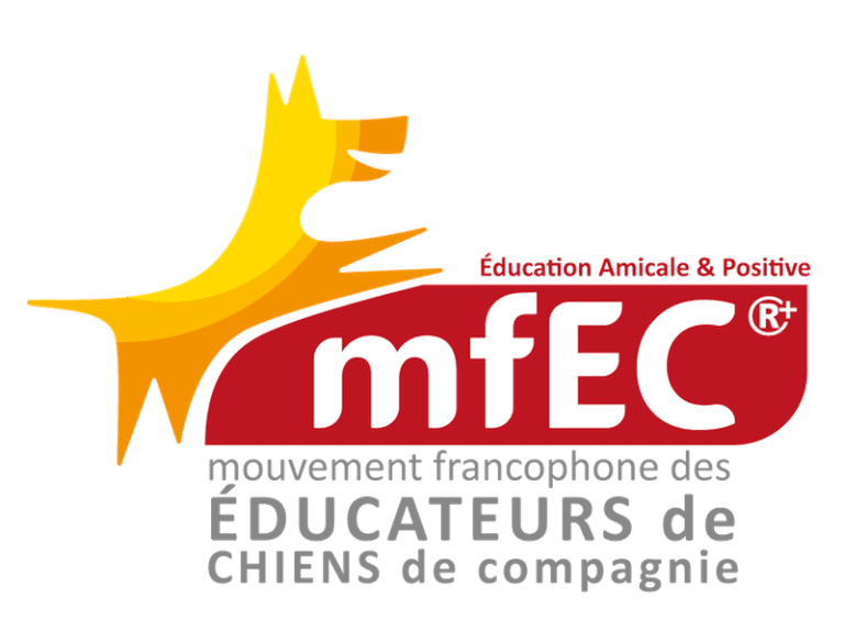 Accueil - MFEC